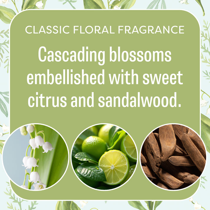 Fresh Scents - No Flame. No Mess. Just Fresh.